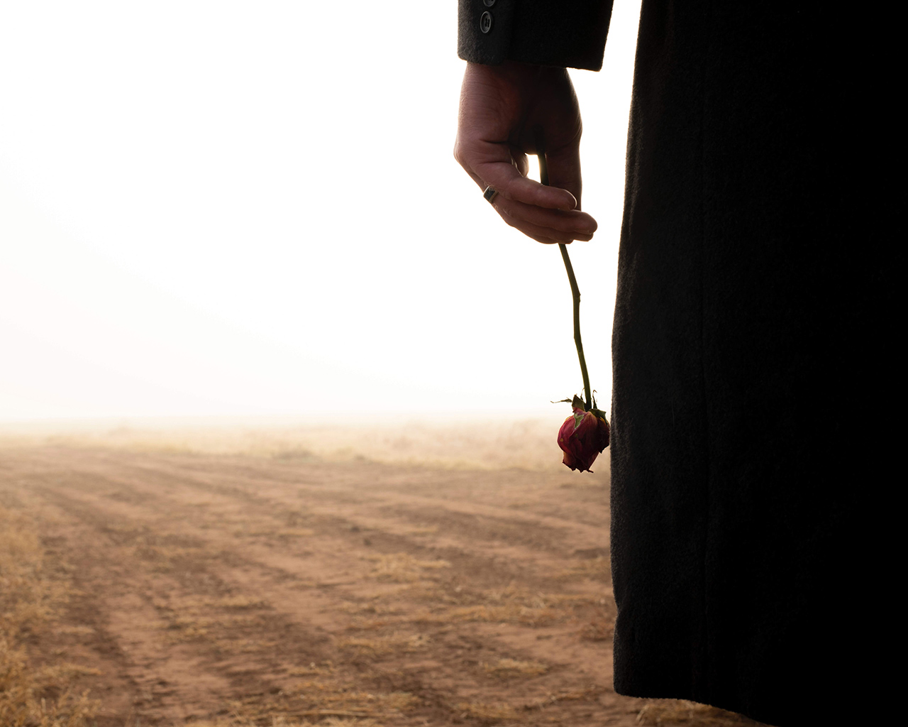 15 Things to Know about Death from the Bible | Matthews Street church ...